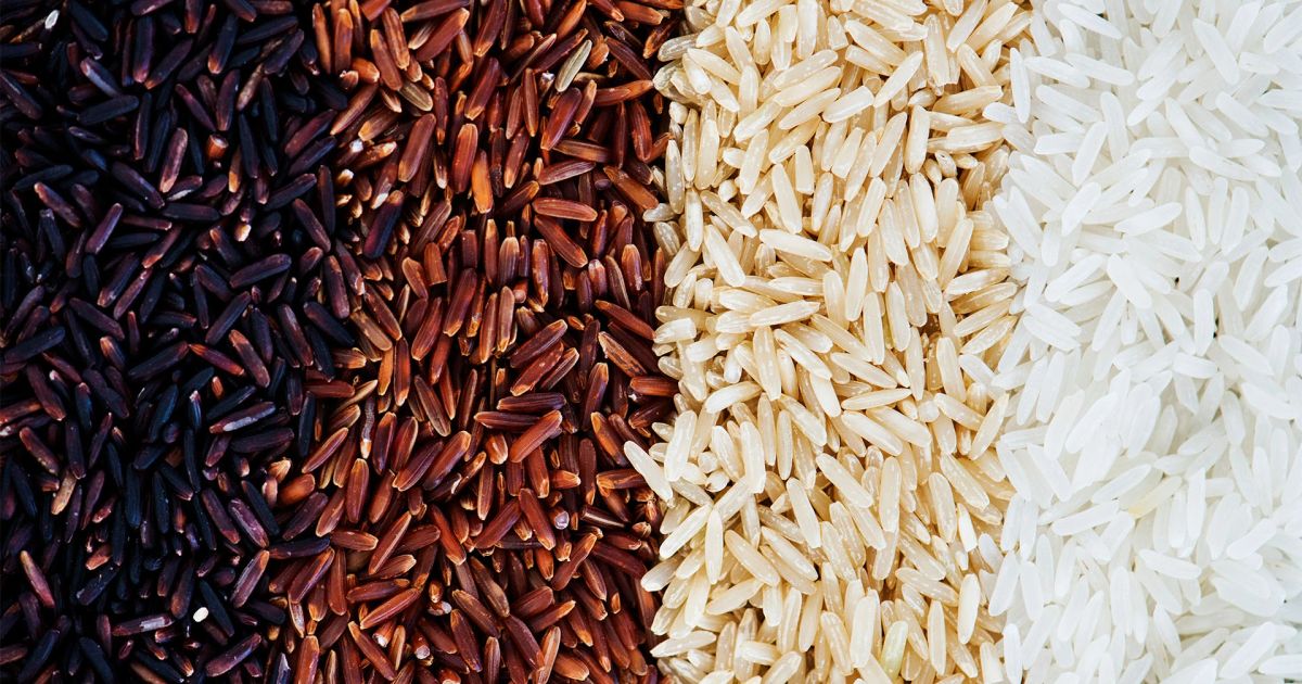 Regulation of grain protein content by the amino acid permease gene ...