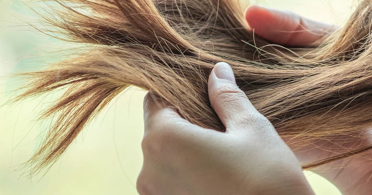 How to Stop Hair Breakage: 7 Essential Prevention Tips