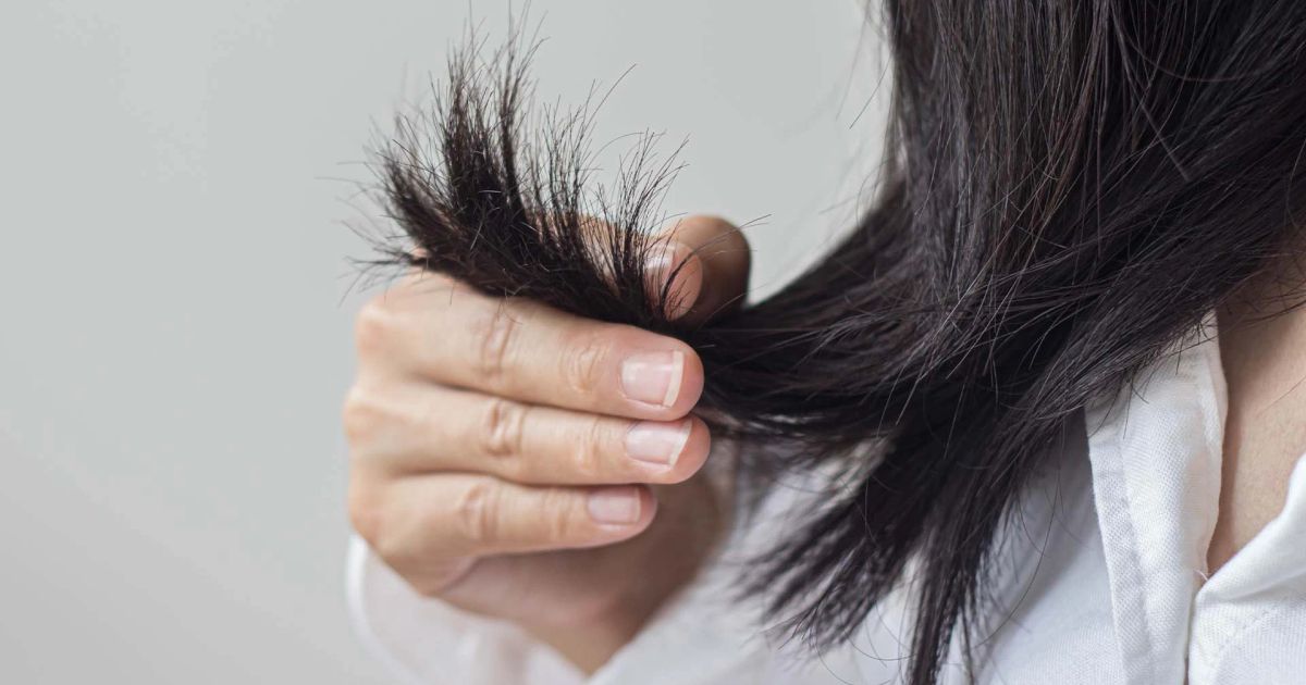 How to Stop Hair Fall Naturally: Top Home Remedies