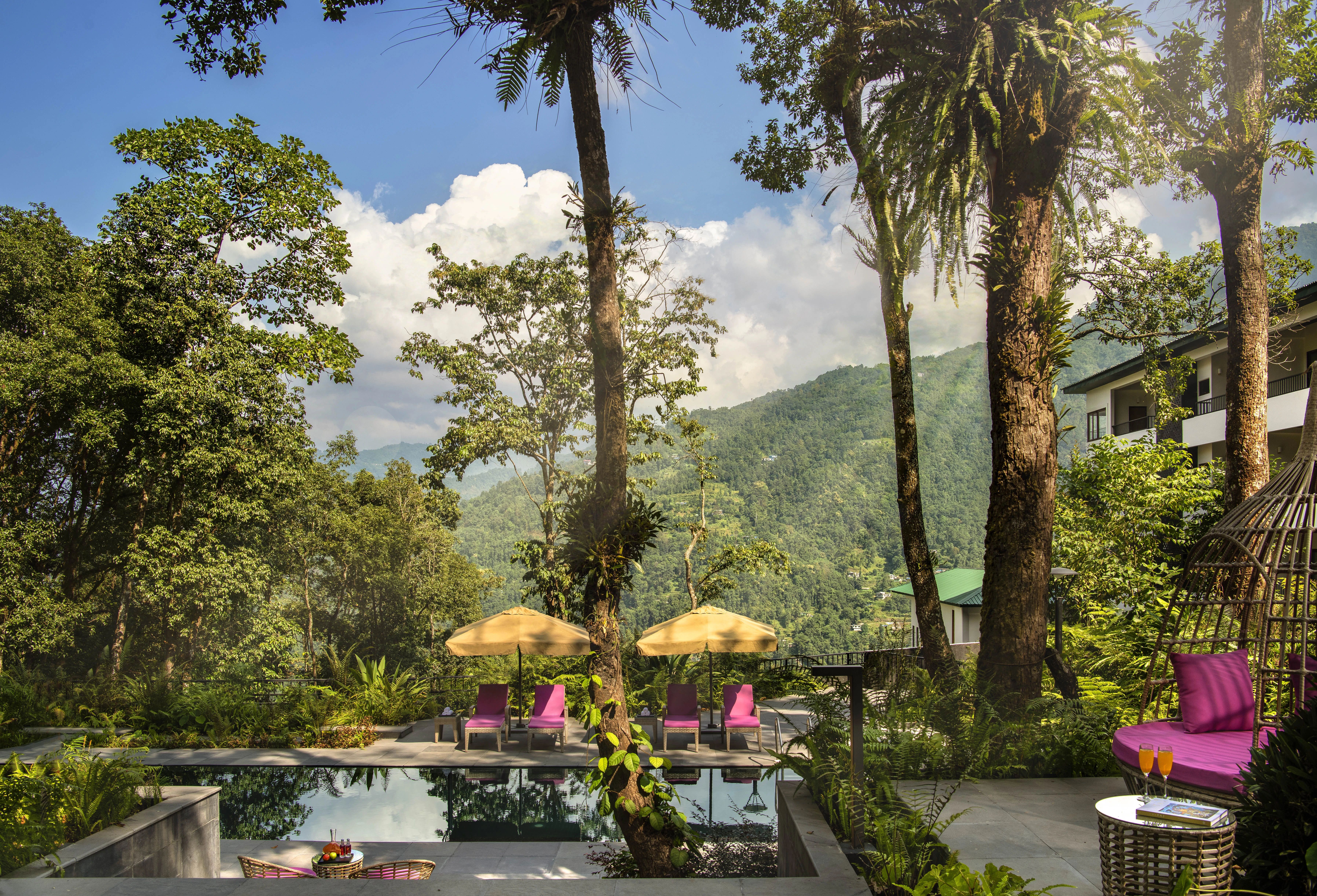 Top 9 Must-Visit Attractions in Coorg: A Checklist