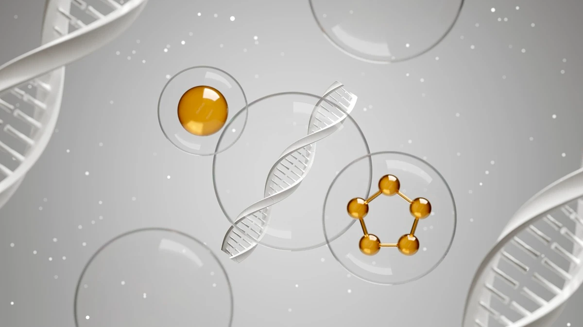 How to Use Skin Fuel for Natural, Radiant Skin